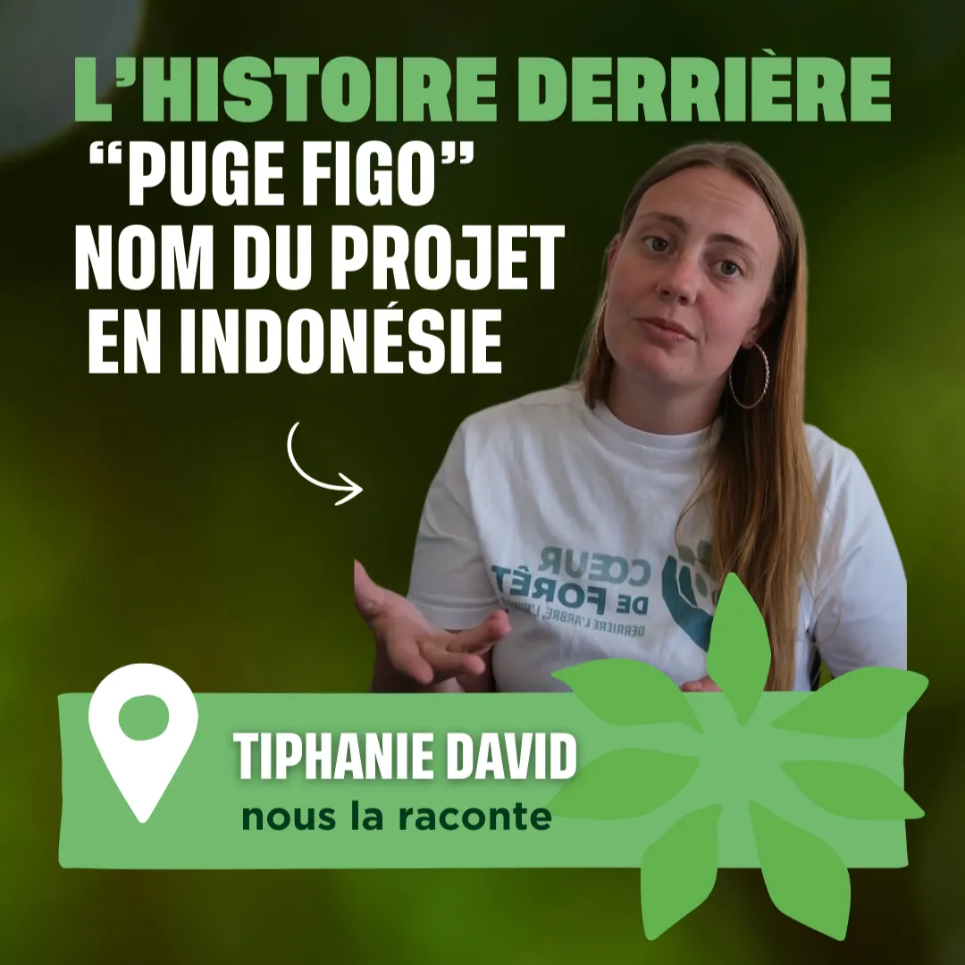 Le mythe de Puge Figo : notre nom en Indonésie | Cœur de Forêt
